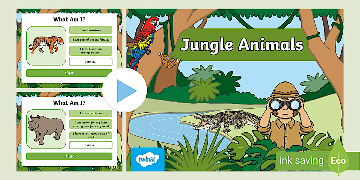 Jungle Animal PowerPoint (teacher made) - Twinkl