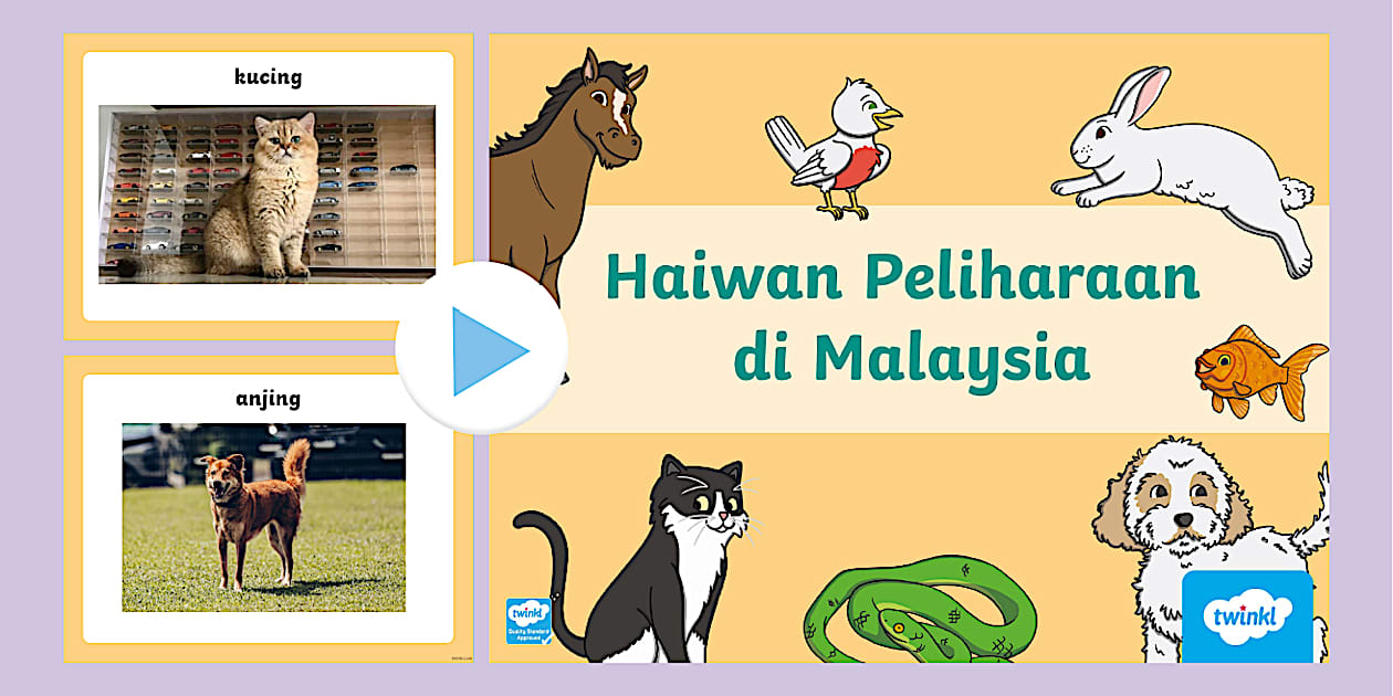 PPT Haiwan Peliharaan di Malaysia PowerPoint - Twinkl