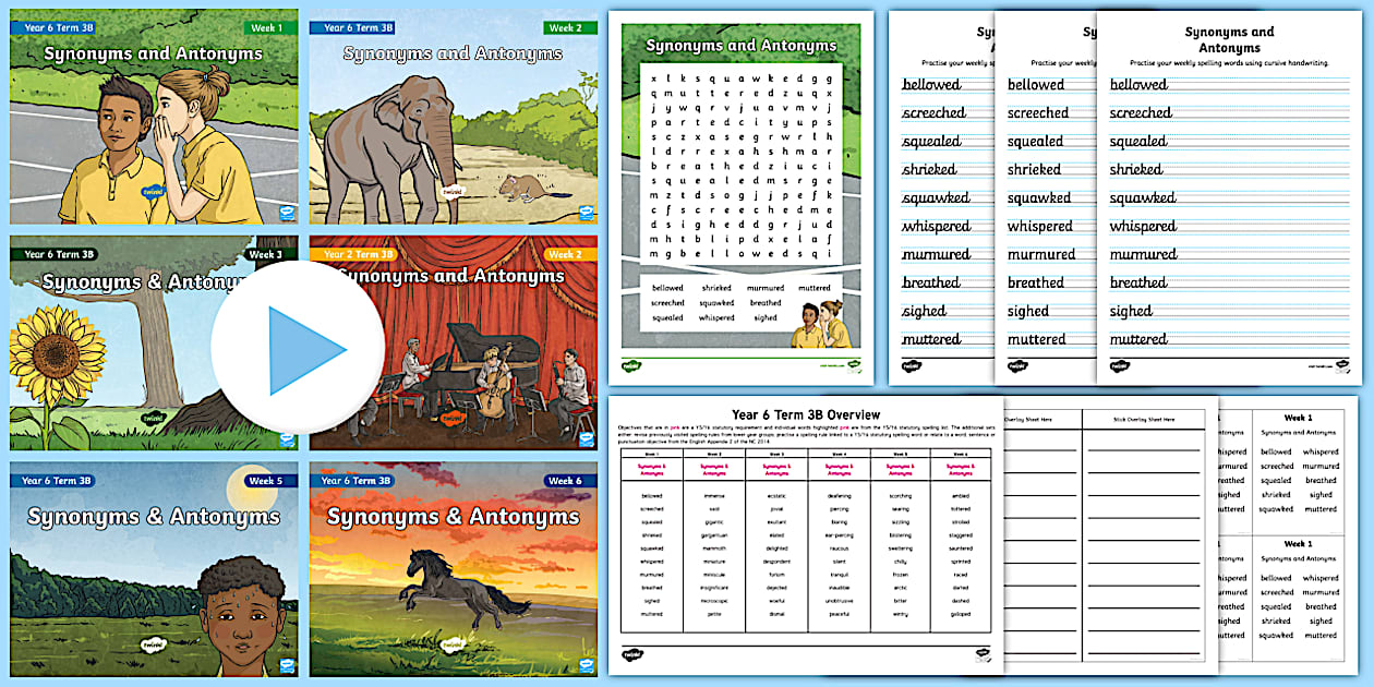 Year 6 Term 3B Bumper Spelling Pack (teacher made) - Twinkl