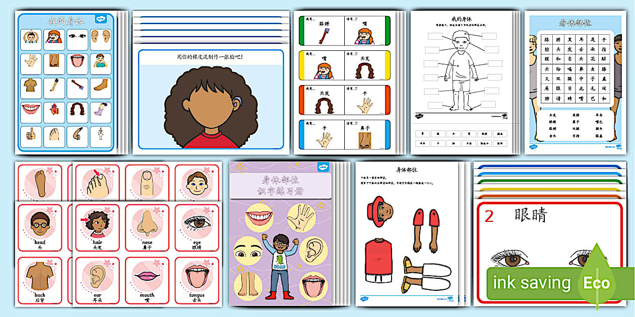 身体部位教学资源集 (teacher made) - Twinkl