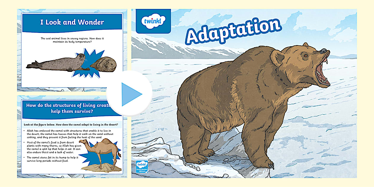 Adaptation PowerPoint (teacher made) - Twinkl