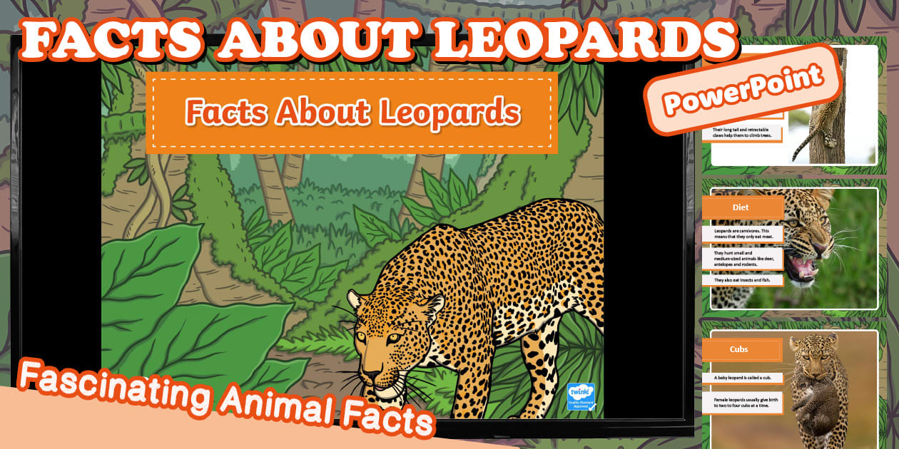 Facts About Leopards PowerPoint