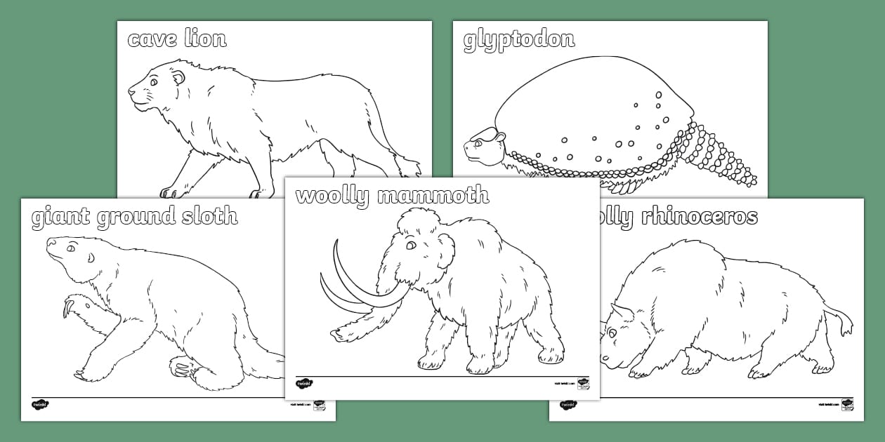 Animal Ice Age | Ice Age Animals | Colouring Pages | EYFS