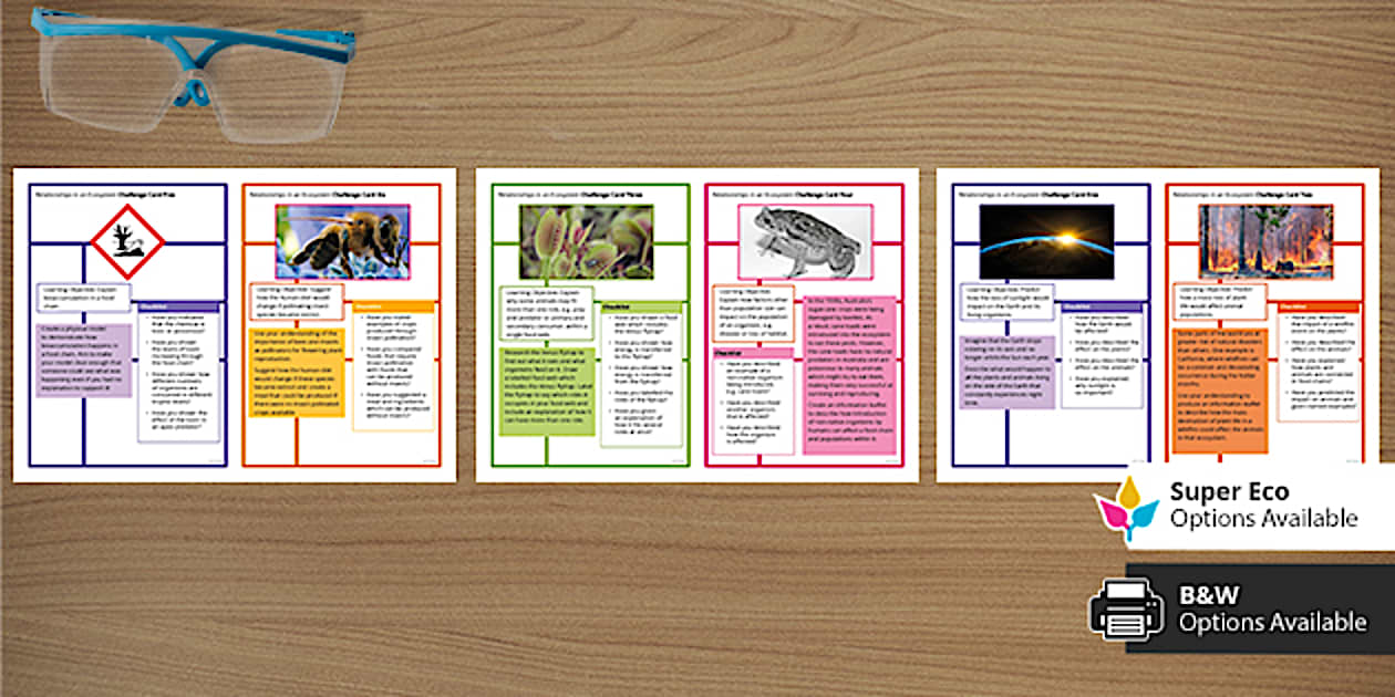 Relationships in Ecosystems Challenge Cards | Beyond