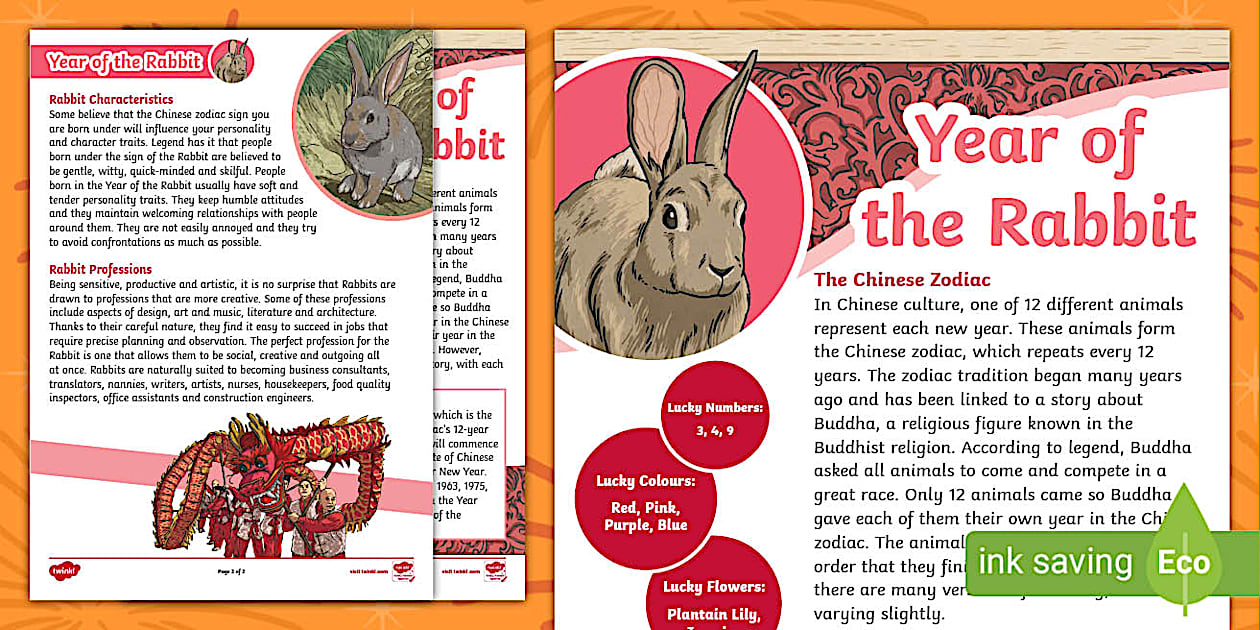 Year of the Rabbit Fact File | Twinkl (teacher made)