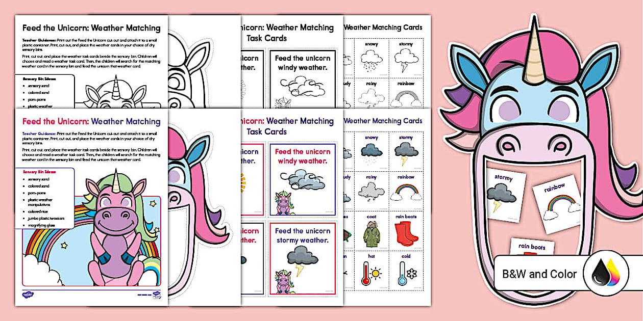 Feed the Unicorn Weather Sensory Bin Activity (teacher made)
