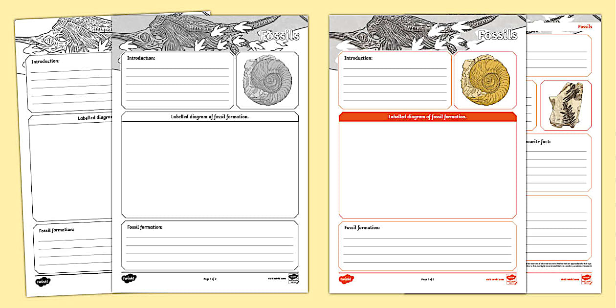 Fossils Non-Chronological Report Template (teacher made)