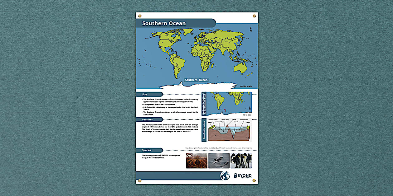 Marine Biomes: Southern Ocean Information Display Poster
