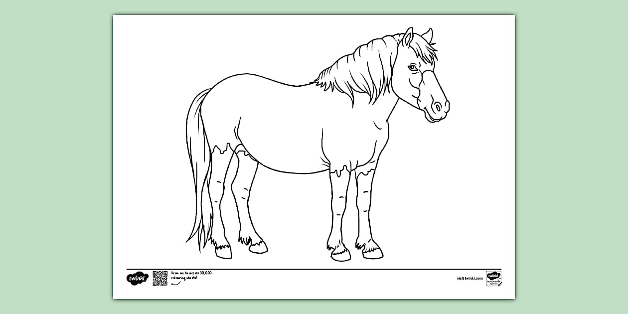 Horse Colouring | Colouring Sheets