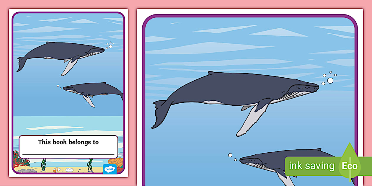 Humpback Whale Themed Book Cover| Twinkl Book Cover|Resource
