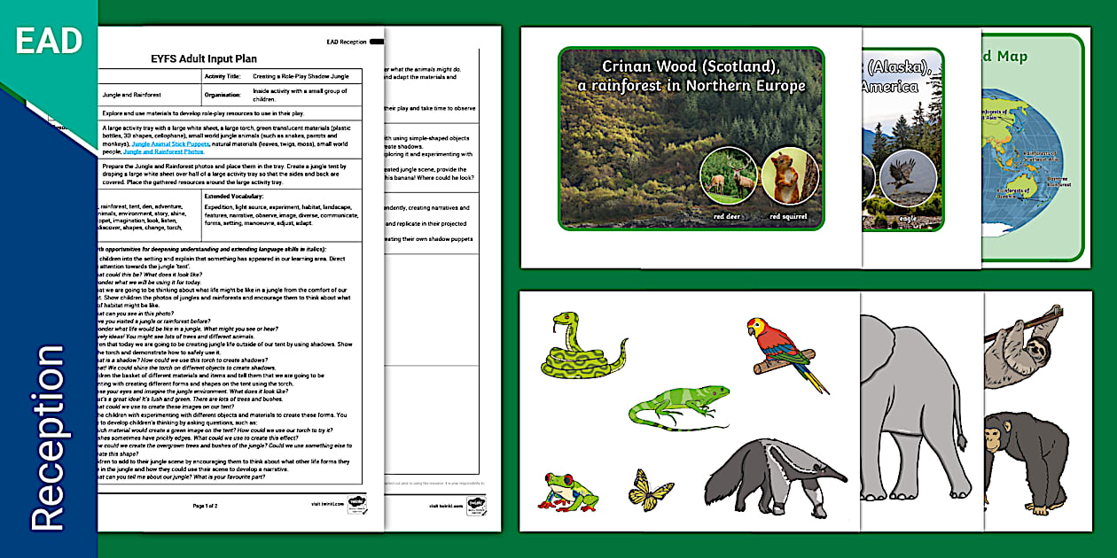 EYFS Creating a Role-Play Shadow Jungle Plan and Pack