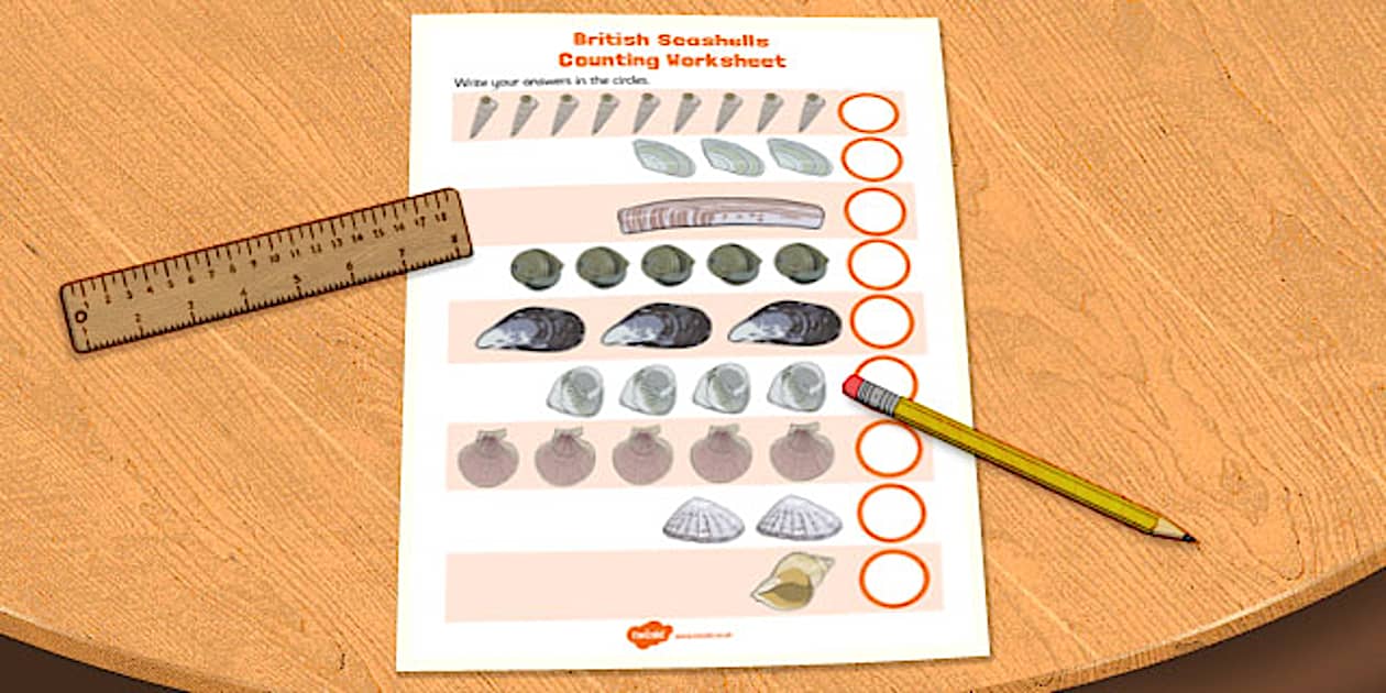 British Seashell Counting Worksheet (teacher made) - Twinkl