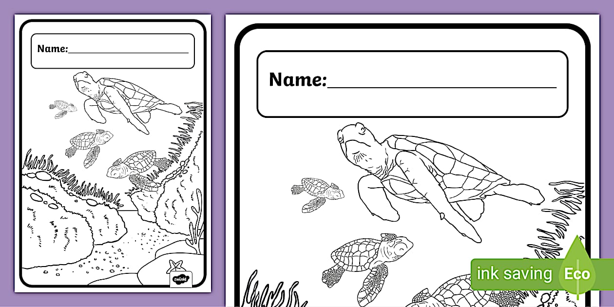 Turtle Colouring Book Cover | Twinkl | Book Covers | KS1