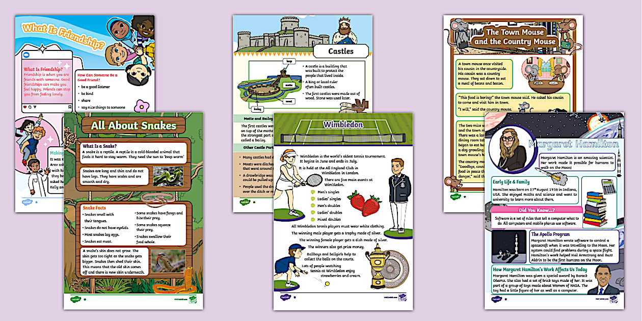 KS1 July Reading Comprehension Activity Pack