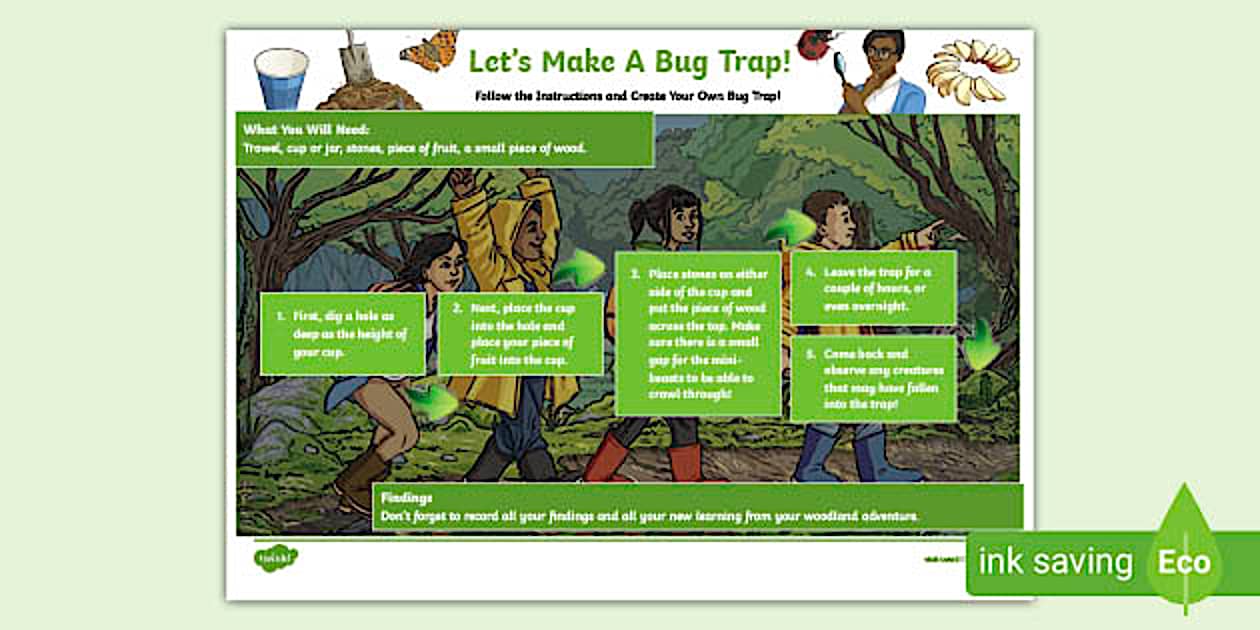 Step By Step How To Make A Bug Trap (teacher made) - Twinkl