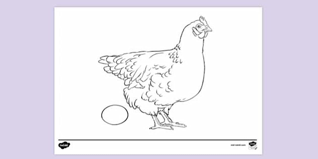 Hen Laying Egg Colouring Sheet | KS1 Resources | Twinkl