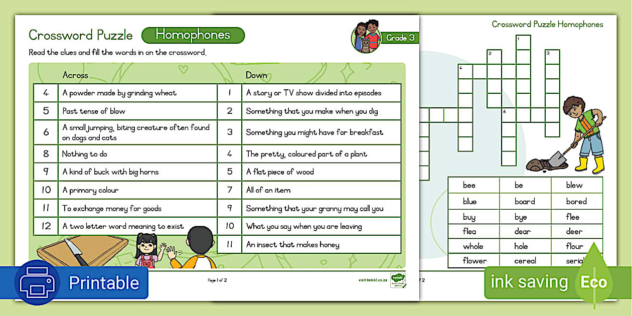 Grade 3 Phonics Crossword Puzzle Homophones (Teacher-Made)