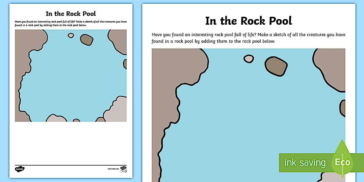 In a Rock Pool: Find and Sketch (teacher made) - Twinkl