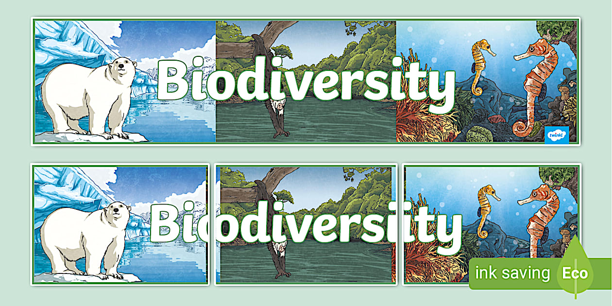 Cursive Biodiversity Banner Display (teacher made) - Twinkl
