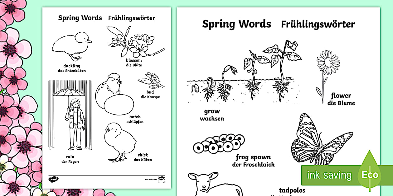 Springtime Words Colouring Pages English/German
