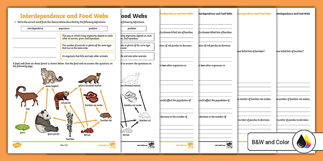 The Interdependence of Food Webs Worksheet for 4th-5th Grade