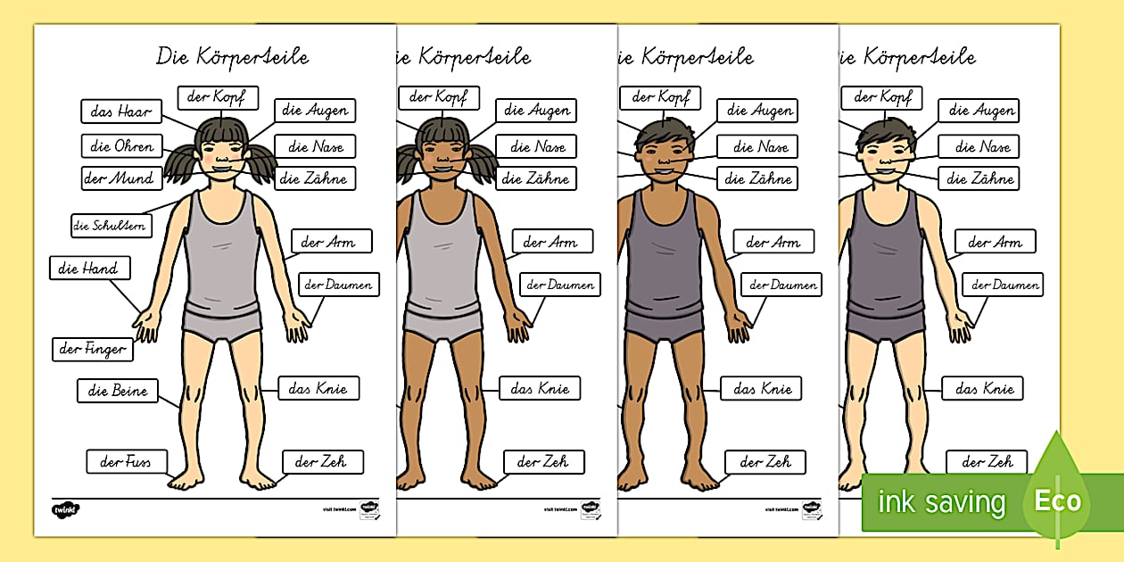 Körperteile A4 Deutsch (Hecho por educadores) - Twinkl