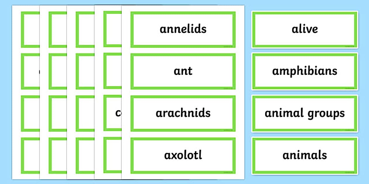 Editable Friends or Foes Word Wall Display Cards - Twinkl