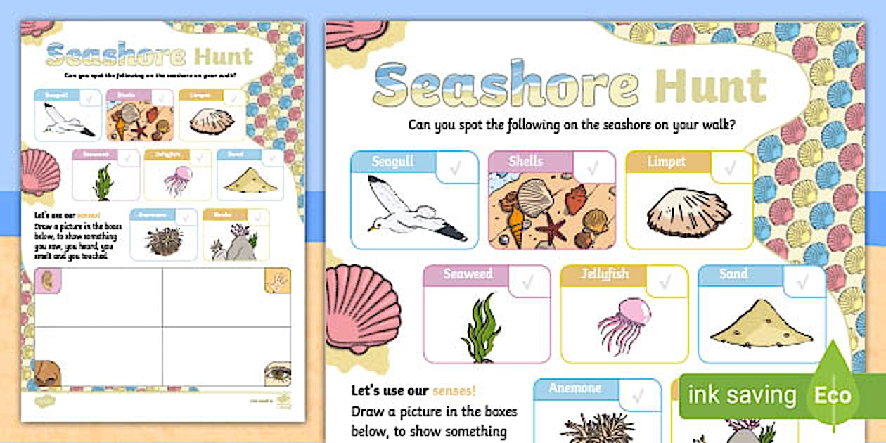 Seashore Nature Walk Activity Sheet Junior/Senior Infants