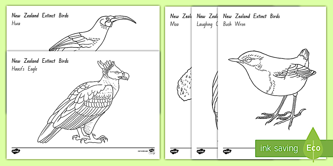 New Zealand Extinct Birds Colouring Pages (teacher made)
