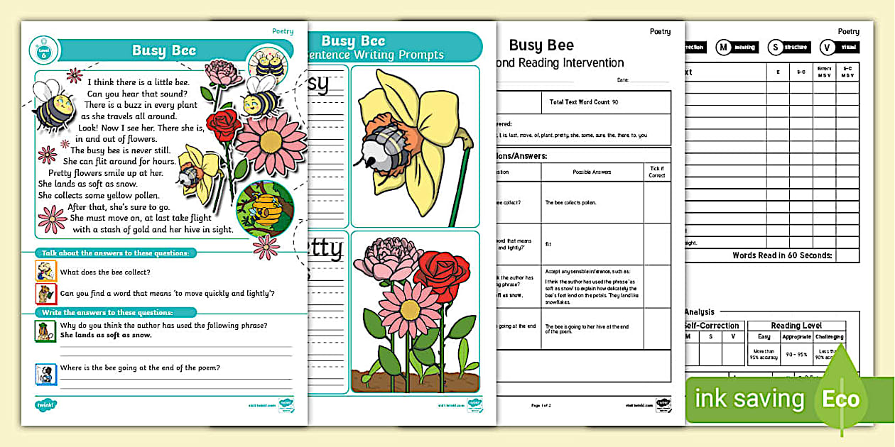 Level 6: 'Busy Bee' 60-Second Reading Set 2 Intervention Pack