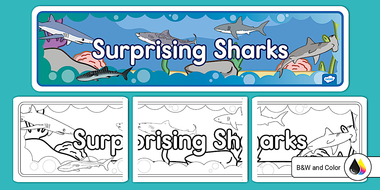 Printable Surprising Sharks Banner | Twinkl USA - Twinkl