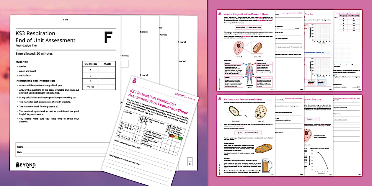KS3 Respiration End of Unit Assessment Pack Foundation
