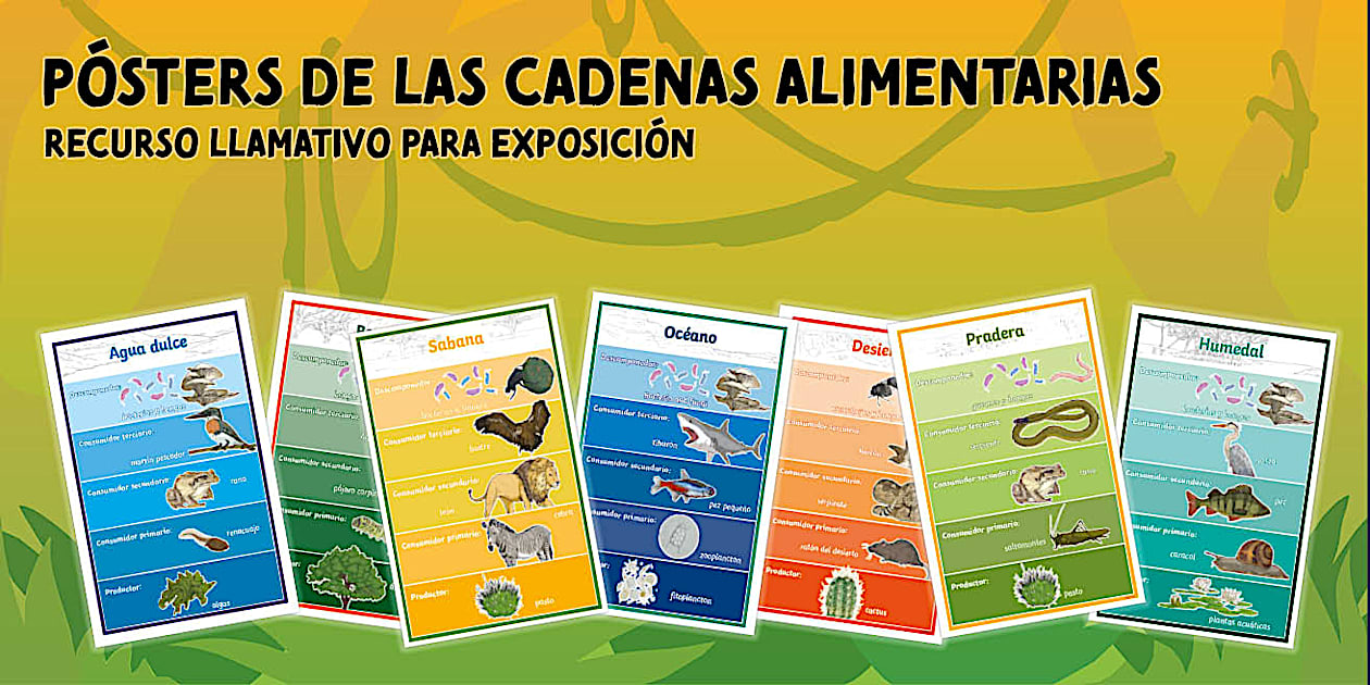 Pósters: Cadenas alimentarias