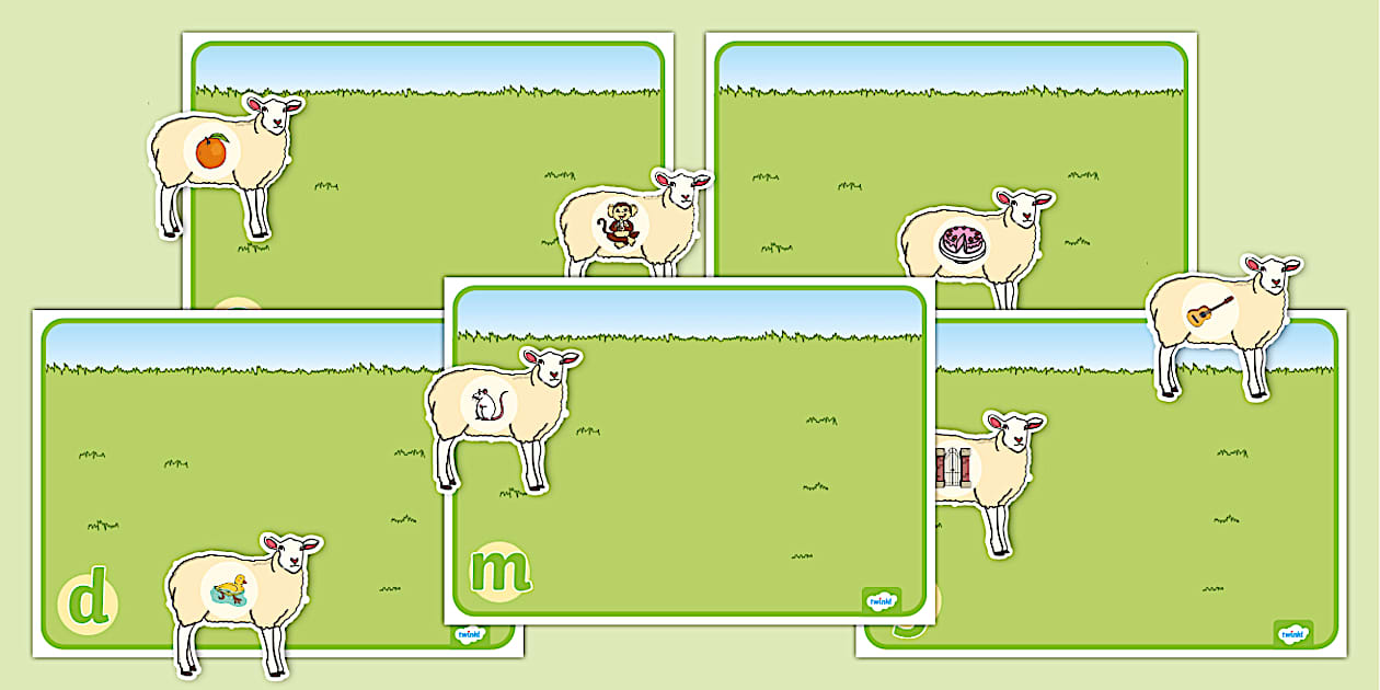 Sheep Sounds Alliteration Activity | Twinkl | EYFS | Sounds