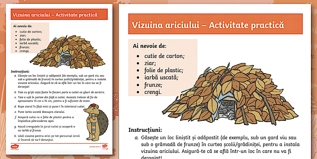 Vizuina ariciului – Activitate practică (teacher made)
