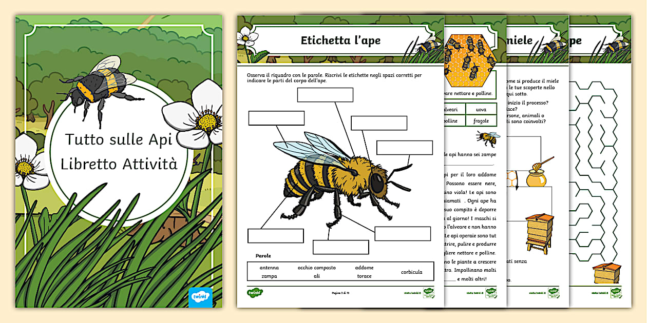 Booklet Tutto sulle Api (professor feito) - Twinkl