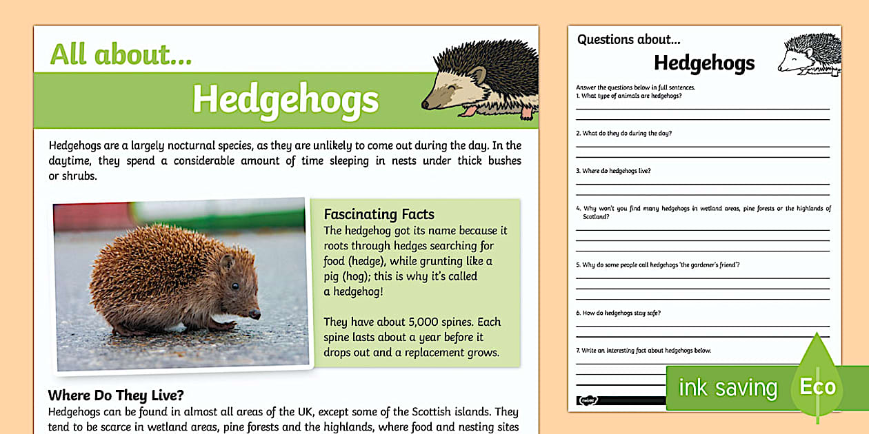 Hedgehogs Reading Comprehension (l'enseignant a fait)