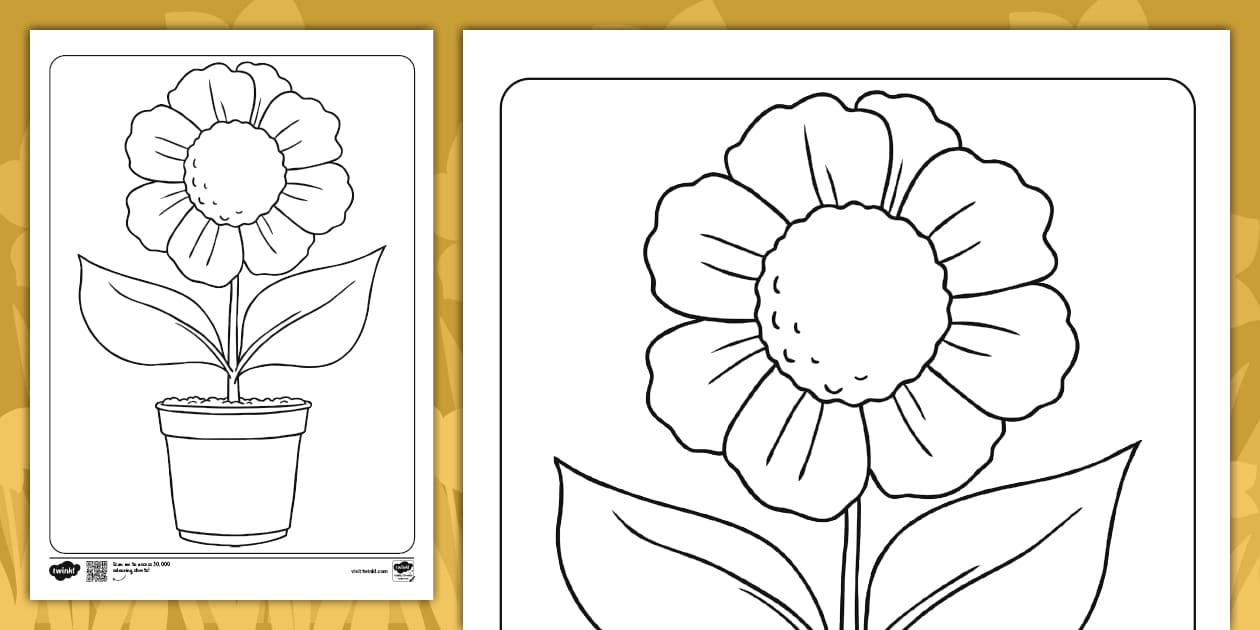Big Flower Colouring Page | Colouring Sheets - Twinkl
