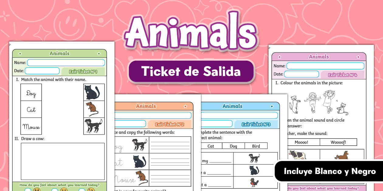 Ticket de Salida | Animales en Inglés | 1° básico
