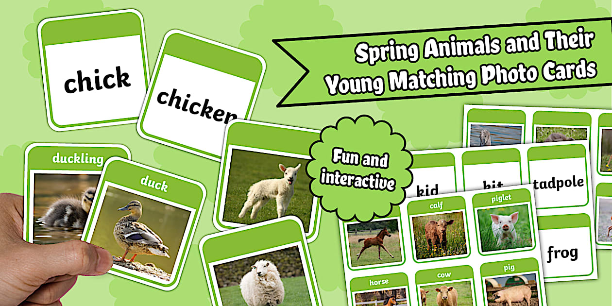 Spring Animals and Their Young Matching Photo Cards