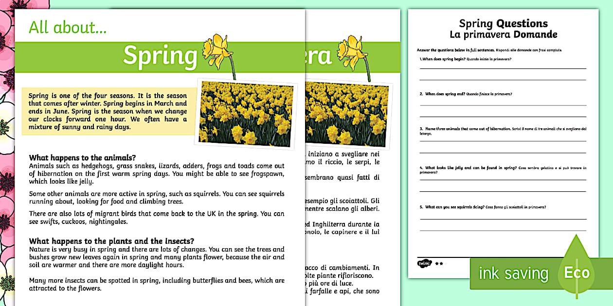 Middle Ability Spring Reading Differentiated Comprehension Worksheets