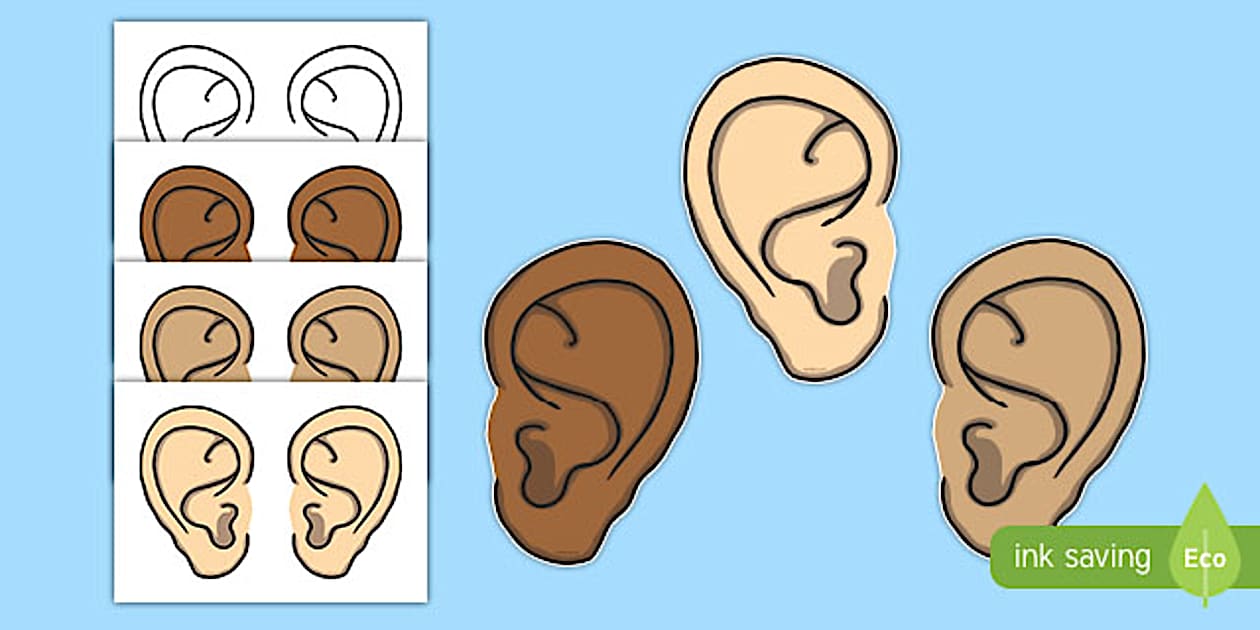 Ears Display Cut-Outs (teacher made) - Twinkl