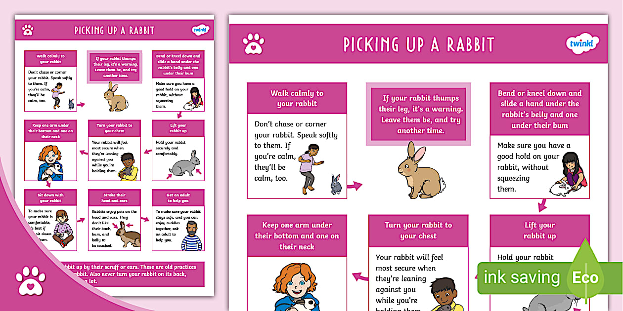 Picking up a Rabbit - Sequencing Poster - Pet - Twinkl Pets