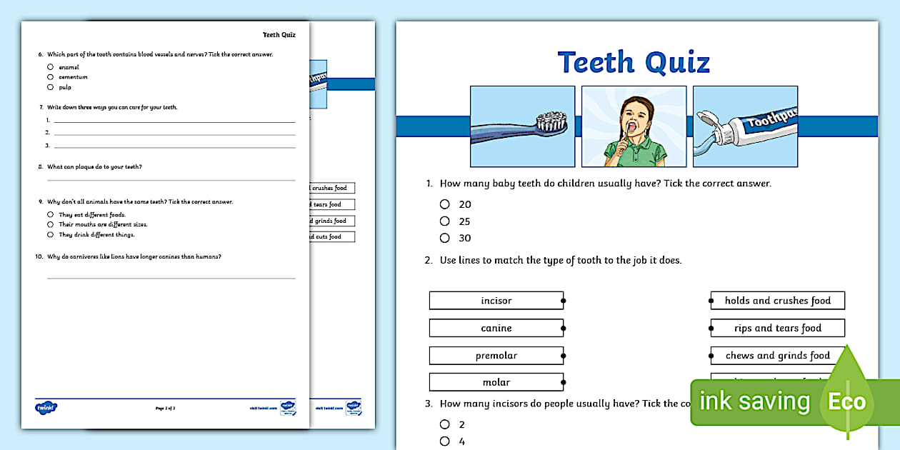 KS2 Teeth Paper Quiz - Twinkl