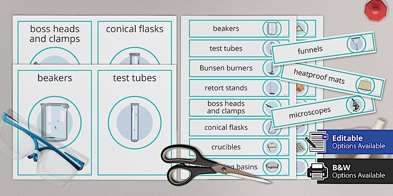 Science Equipment Cupboard and Drawer Labels (teacher made)