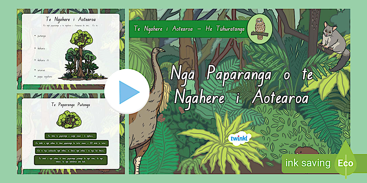 Te Ngahere i Aotearoa - Ngā Wāhanga o te Ngahere. - Twinkl