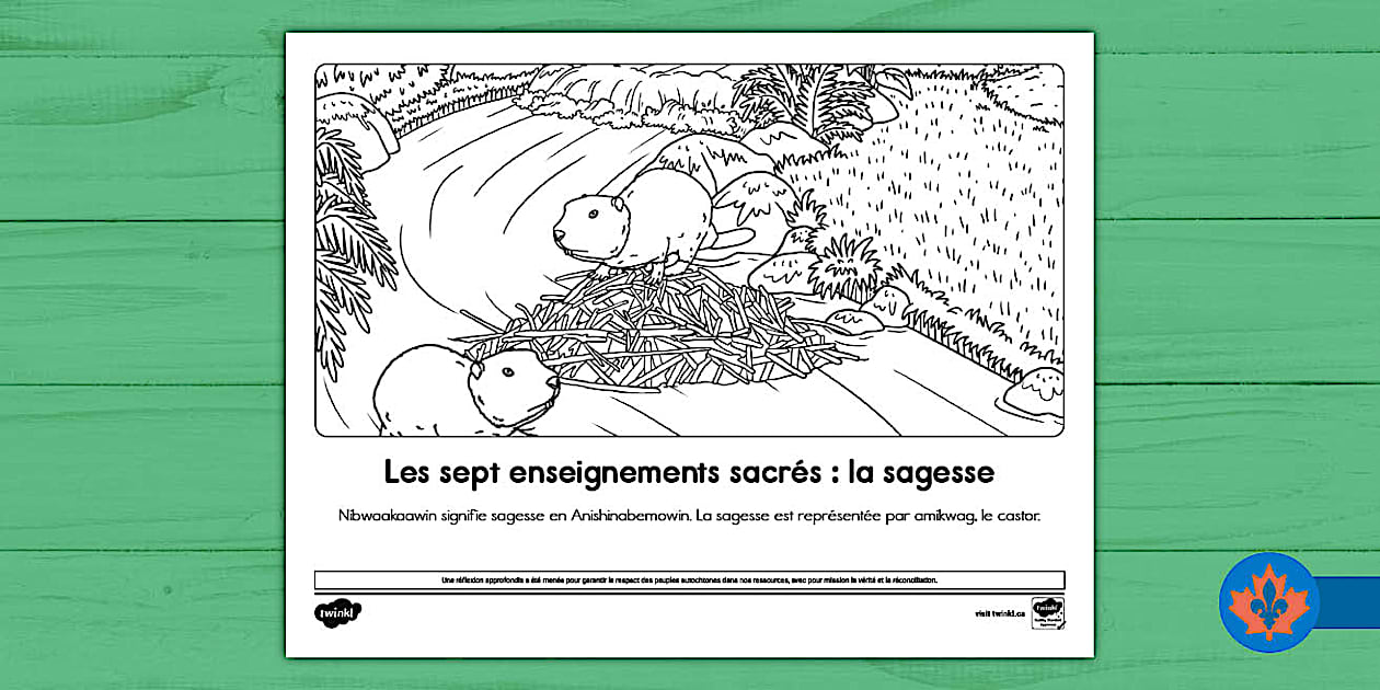 FREE! - The Seven Grandfather Teachings: Colouring Page for Wisdom French
