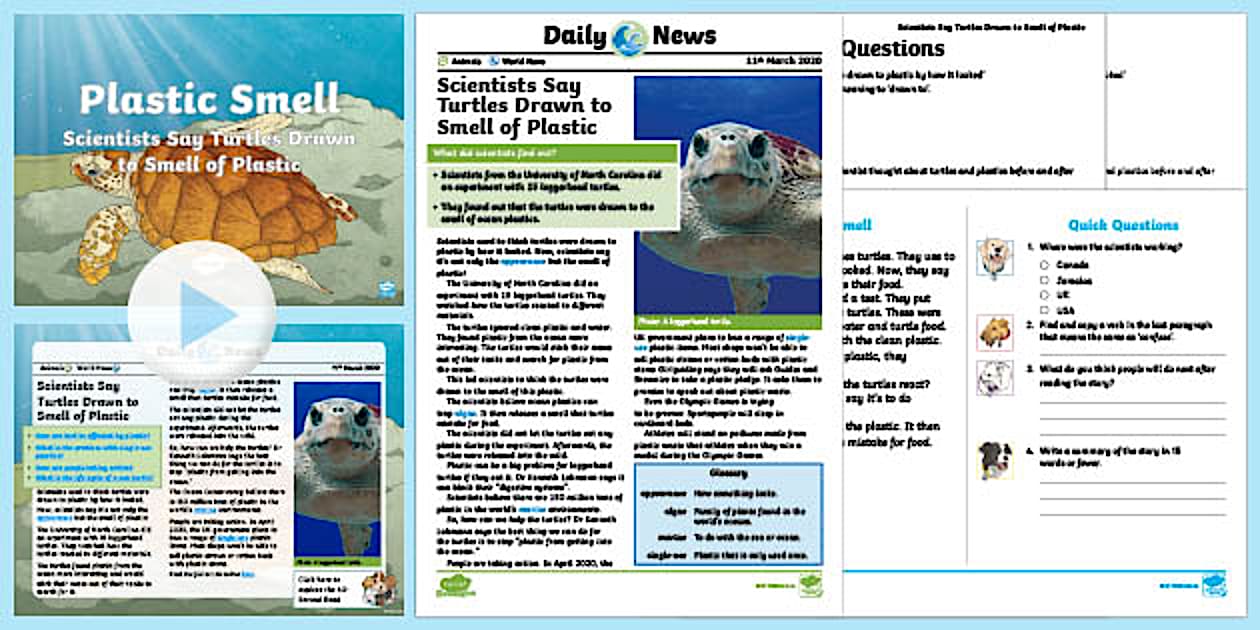 Plastic Affecting Turtles Daily News Resource Pack - Twinkl