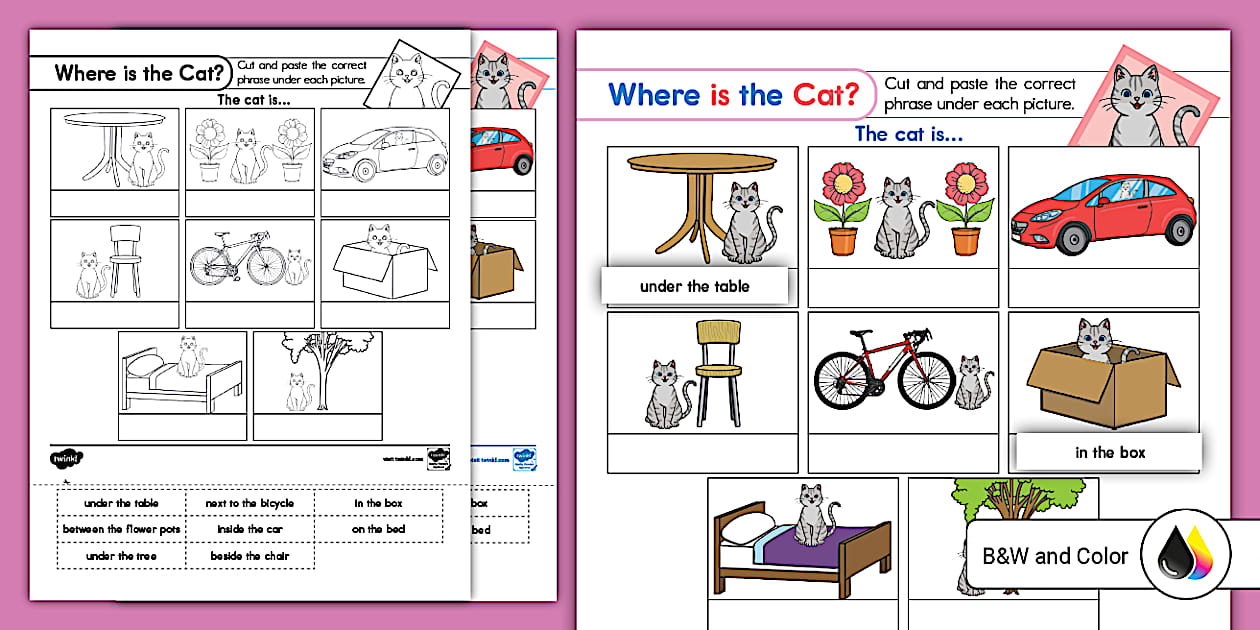 Cat Prepositions Activity Worksheet Sheet for Kids | Twinkl USA