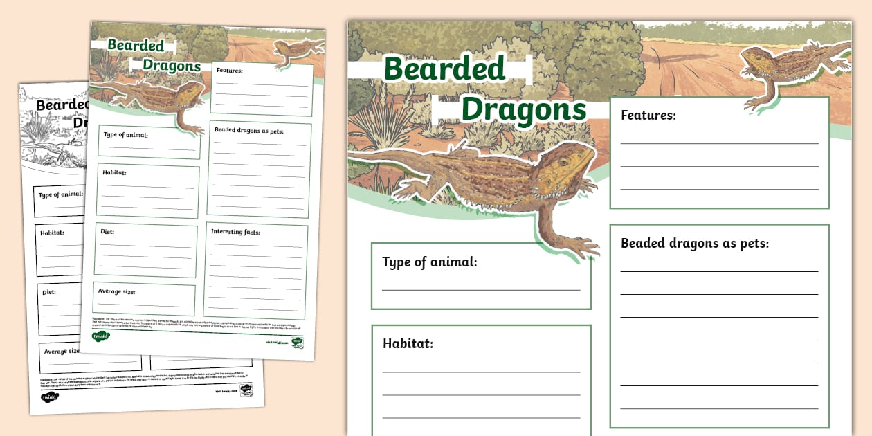Bearded Dragon Fact File Template, Bearded Dragons - Twinkl